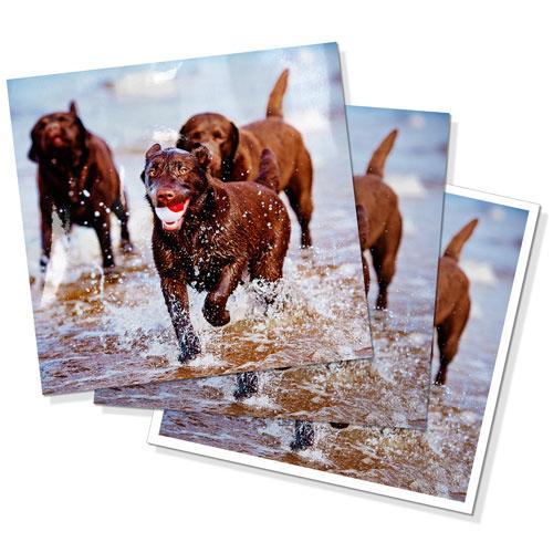 4 x 4" Square Photo Print – Wonder Photo Shop NZ